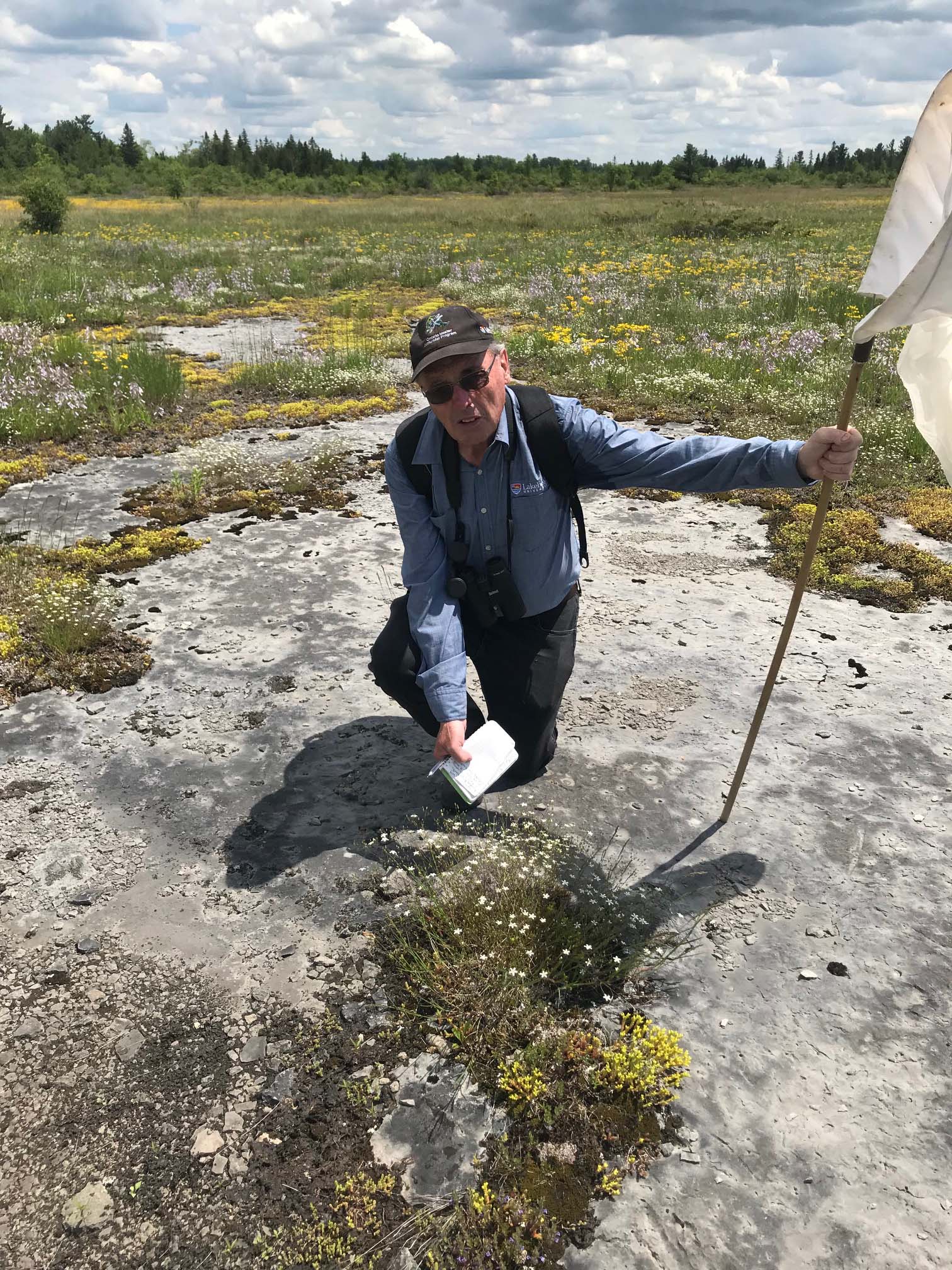 BruceGreySimcoe - Carden Alvar Flora Walk